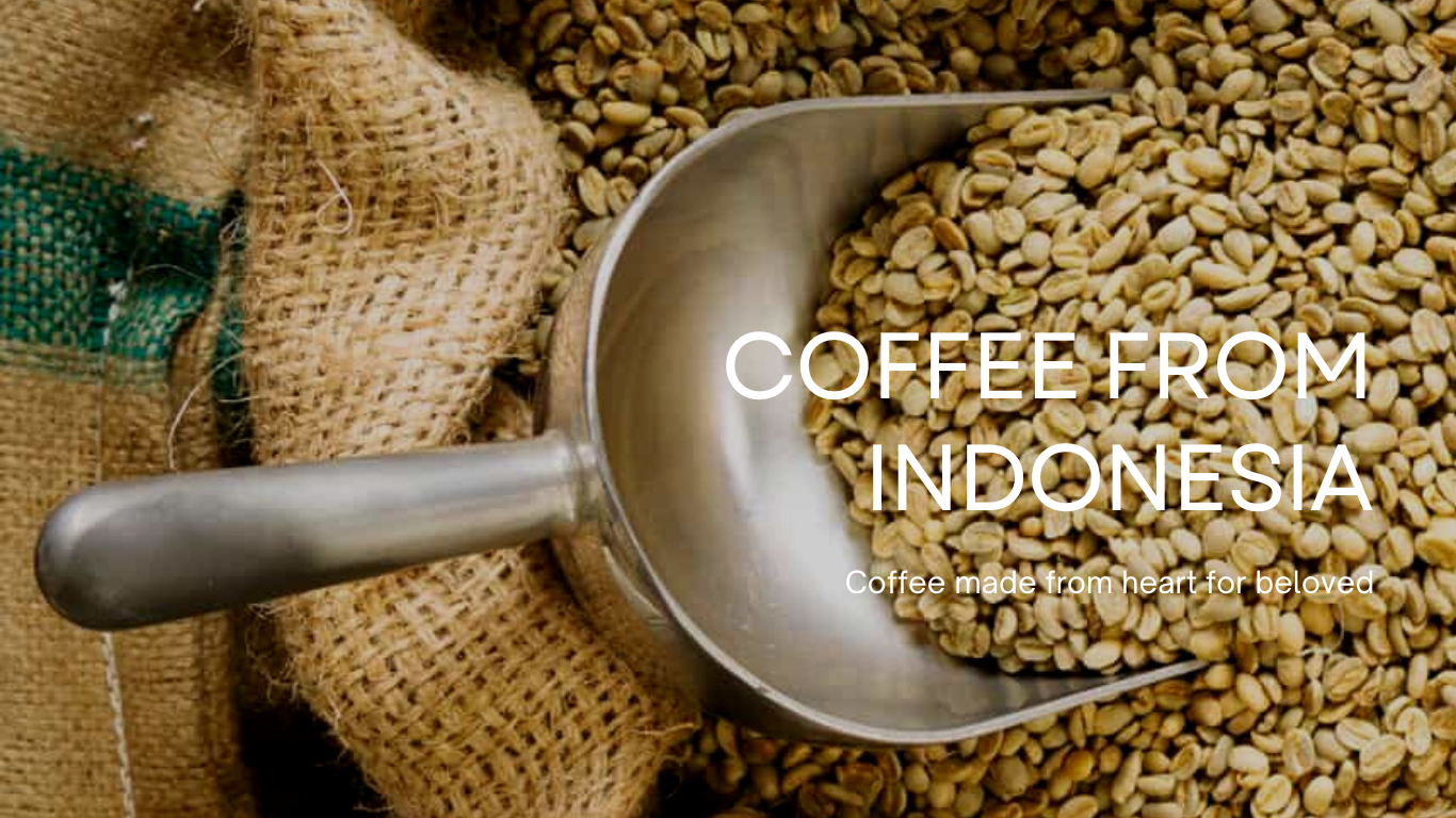 COFFEE INDONESIA | COCOA INDONESIA - PT. INFINITY GLOBAL EXPORT